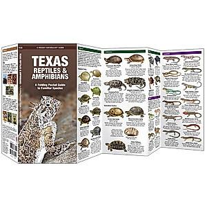 Texas Reptiles & Amphibians: A Folding Pocket Guide to Familiar Species (Nature Observation North America)