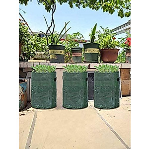 Potato Grow Bags,Potato Planters with Flap and Handles,Vegetables Garden Planting Bags for Onion,Fruits,Tomato,Carrot (10gallon-4pack)