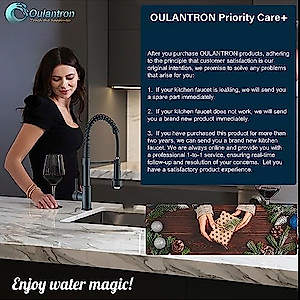 Kitchen Faucet with Spring LED Pull Down Sprayer Single Handle Matte Black Commercial Stainless Steel Kitchen Sink Faucet Oulantron high arc Kitchen Faucet
