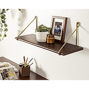 Kate and Laurel Palone Modern Wall Shelf, 24, Walnut and Gold, Minimal Transitional Shelf for Storage and Display