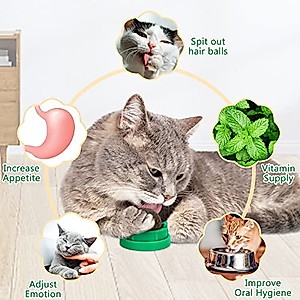 OHALEEP Catnip Ball for Cats Wall, 3 Pack Catnip Toys, Edible Kitty Toys for Cats Lick, Safe Healthy Kitten Chew Toys, Teeth Cleaning Dental Cat Toys, Cat Wall Treats (Grey) (Green)