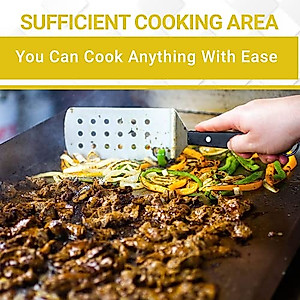 AMS Fireplace Le Griddle |2 Burner Outdoor 304 Stainless Steel Griddle 30 inch | (Natural Gas, Two Burner Griddle)18,000 BTU's Tasty Cooking - Outdoor Clothing Cover Included. Made in France (GFE75)