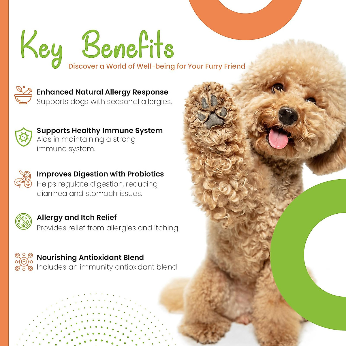 Chews Pawsitive Allergy + Immune Chews for Dogs - Dog Supplements for Itchy Skin and Seasonal Allergy Relief- Natural Dog Immune Support- Digestive Health Probiotics - 120ct