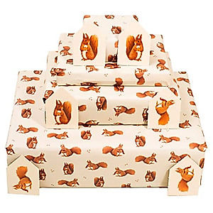 CENTRAL 23 Fall Wrapping Paper - 6 Gift Wrap Sheets For Birthday or Christmas - Thanksgiving Wrapping Paper For Boys Girls - Easter Paper - Squirrel Design - For Kids Men Women - Recyclable