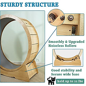 Lokshun Cat Wheel,Cat Exercise Wheel with Lock Pin,Great Weight-Loss Cat Wheel with Carpeted Runway,Large-Sized Cat Exercise Wheel with Noiseless Rollers,42in Large,Cat Teaser Stick Included