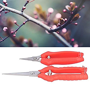 Deryang Garden Shears, Bud Trimmer Hedge Shears, Garden Clippers Garden Scissors Garden for Bonsai