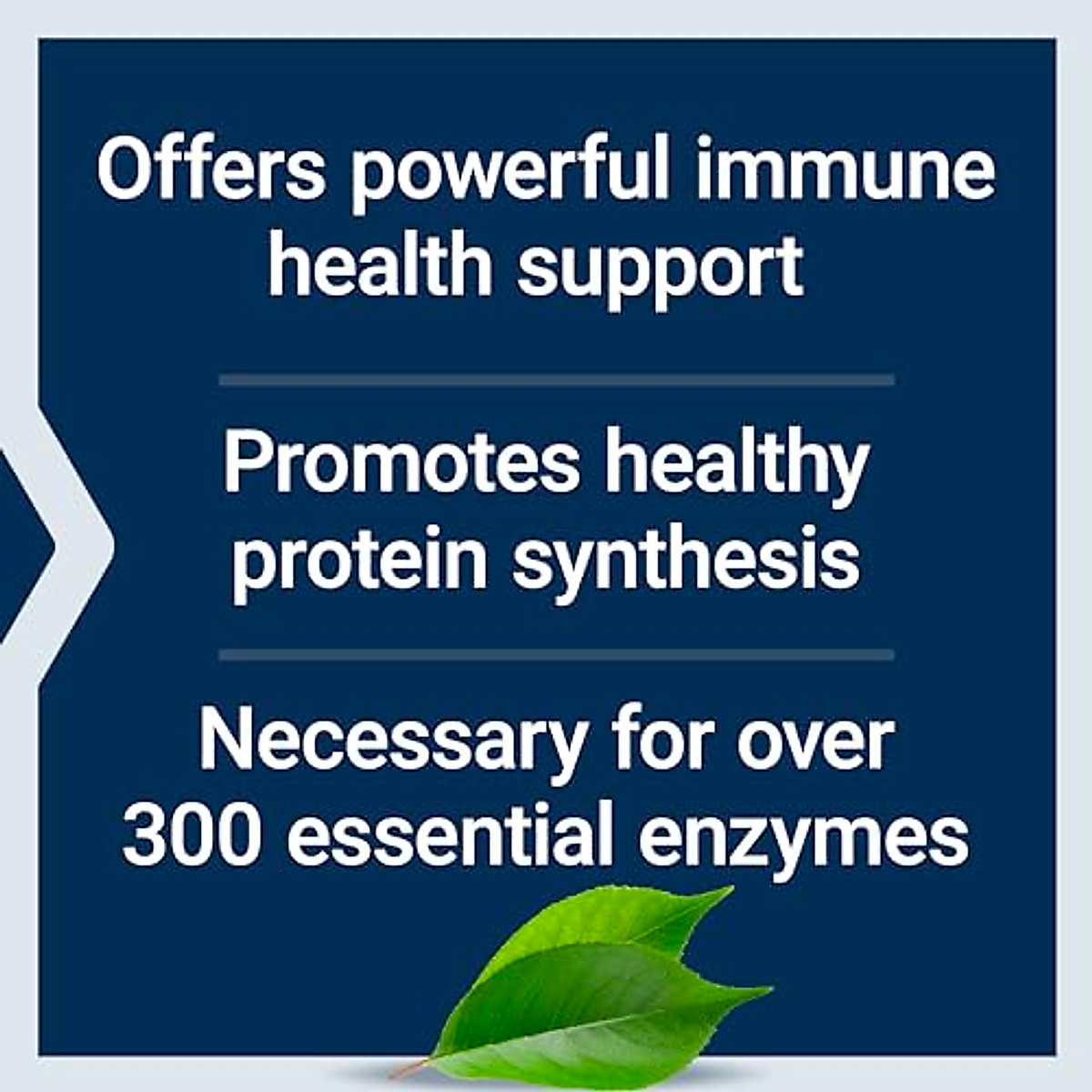 Life Extension Zinc Lozenges – Citrus-Orange Flavor – For Healthy Protein Synthesis & Immune Health - Inflammation Management Supplement - Gluten-Free, Non-GMO – 60 Vegetarian Lozenges