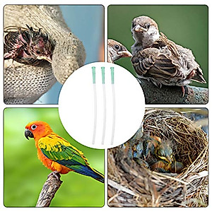 Parrot Feeding Syringe Birds Feeding Hoses, soft birds feeding hose 3pcs Parrot Feeding Hose Tool Birds Feeding Dropper Feeding birds feeding accessory Tube bird feeder Pet Feeder