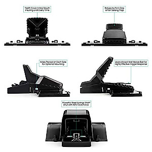 eXuby Pet-Safe & Child-Safe Rat Traps w/Tunnel Design (4-Pack) – Dual Entry for Better Capture Rate - No Harmful Poison - Prevents Accidental Triggering - Avoid Finger Snapping - Setup in Seconds.