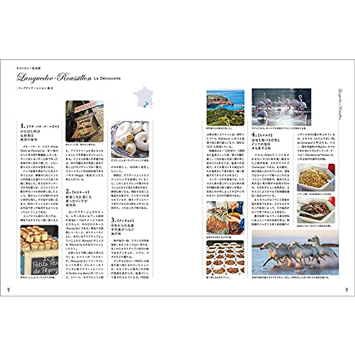 フランス伝統料理と地方菓子の事典: 全地方の食文化や歴史、食材、ワイン、チーズの知識から料理・菓子の作り方まで俯瞰して理解できる