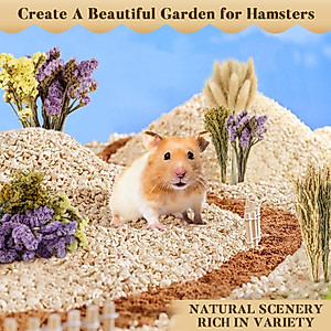 Sukh Nature Flower Herb Hamster Bedding Decor Hamster Habitat Decor Mate Small Animal Habitat Decor Hamster Cage Mate Natural Hamster Sprays for Syrian Dwarf Hamsters Gerbils Rabbit Other Small Pets