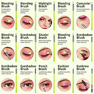 Docolor Eyeshadow Brush Set 15Pcs Eye Makeup Brushes Professional Makeup Brush Set Eye Shadow Blending Concealer Eyebrow Eyelash Eye Liners Premium Synthetic Eyeshadow Crease Brow Brush, Neon Green