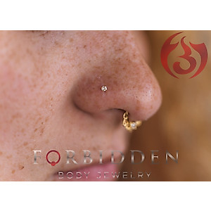 Forbidden Body Jewelry Set of 2: 22g 18k Gold Plated Sterling Silver CZ Simulated Diamond Nose Stud, 2.5mm Crystal