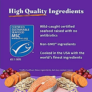 Halo Holistic Cat Food Dry, Wild-caught Salmon and Whitefish Recipe, Complete Digestive Health, Dry Cat Food Bag, Adult Formula, 3-lb Bag