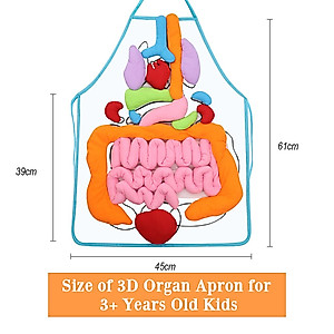 AIPINQI Anatomy Apron,Body Anatomy Apron Kids Human Body Organs Awareness Educational Toys for Children Preschool Science Homeschool Teaching Aids