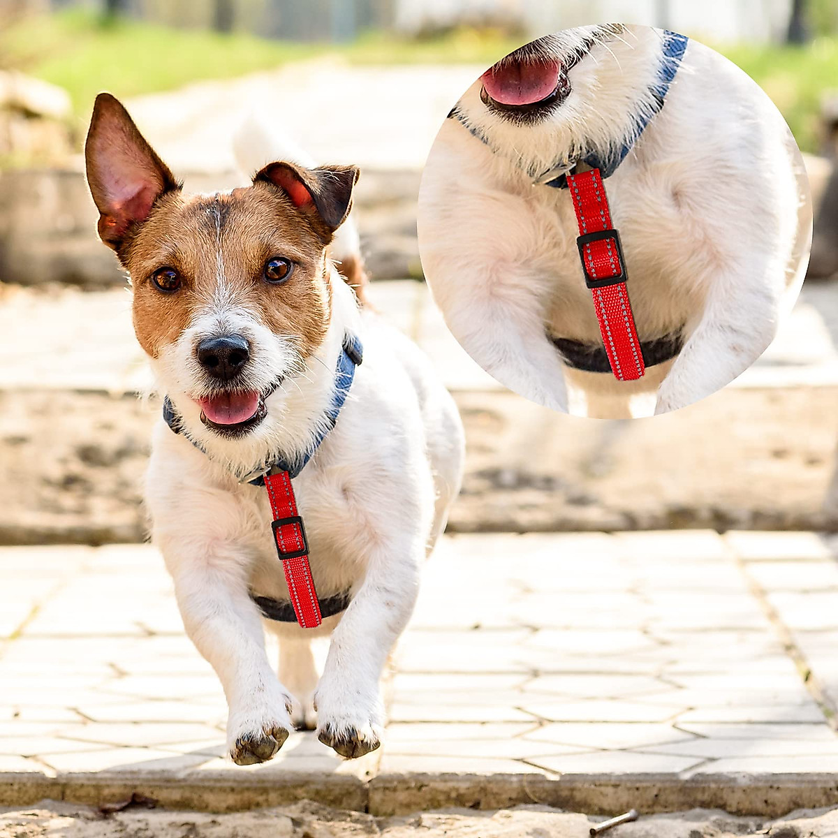 5 Pcs Safety Dog Collar Clips Prong Collar Backup Clips Adjustable Reflective Nylon Dog Collar Harness Connector Metal Double Ended Backup Clasp for Dog Harness Pet (Dark Color)