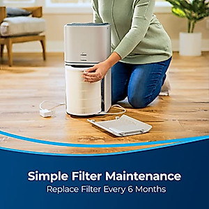 BISSELL air180 and air180 max Replacement filter