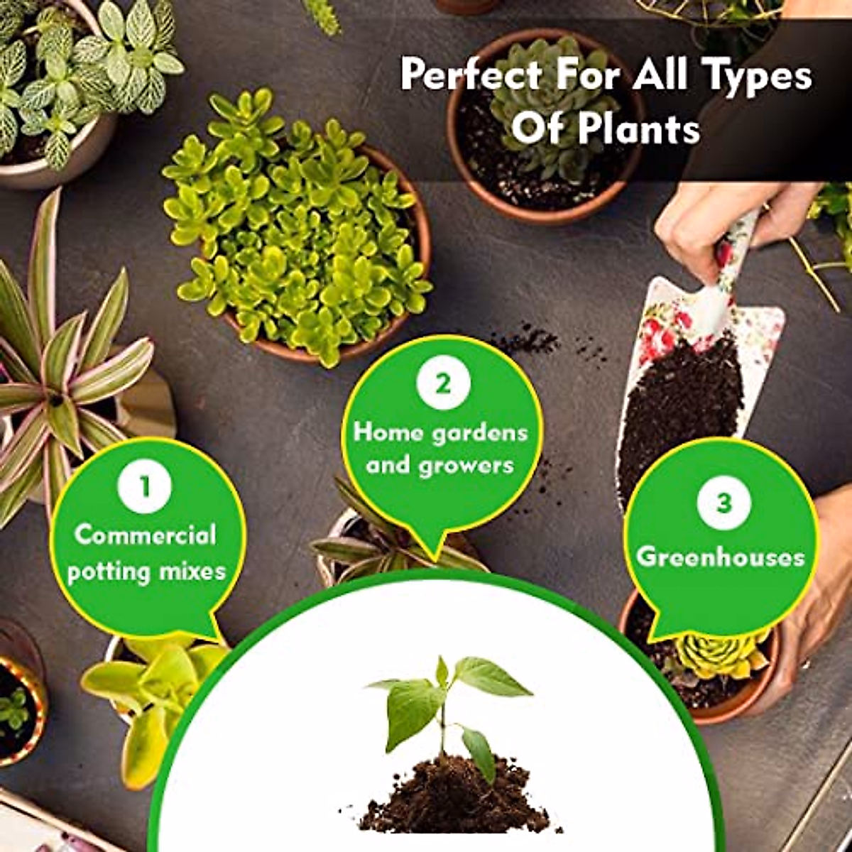 Old Potters Organic Peat Moss – 100% Sphagnum Peat Moss for Potted Plants & Seed Starting – Improves Soil Quality, Organic Gardening for Indoor and Outdoor use (12 Quart)