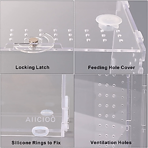 Aiicioo Micro Habitat Terrarium Enclosure 8x6x14 Inches Tarantula Enclosure Box Insect Habitat Clear Acrylic Reptile Feeding Tank for Jumping Spiders Insect Small Tree Dwelling Reptiles