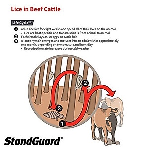 Neogen 1907840 Prozap StandGuard Pour 900 mL Insecticide, Yellowish/Brown