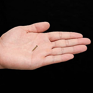 Hardware Philosophy Pure Brass Nails, 0.6 Inch, Bag of 100 - Architectural, Interior Design, Doors, Furniture Cabinet Customization Hardware