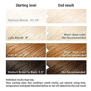 HJL Hair Color Permanent Hair Dye Cream with Comb Applicator Ammonia Free Hair Coloring Kit, Light Blonde, Pack of 1