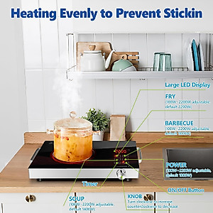 TYEMUI Electric Hot Plate Single Burner for Cooking, Portable Countertop Free Standing Stove Single Burner, 2200 watts Glass Ceramic Cooktop with Timer…