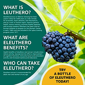 TAIGASEA Wild Eleuthero Root Extract, Herbal Extract Blend with Eleutherococcus for Immunity and Physical Shape, Stamina and Endurance, 100 Vegeterian Capsules