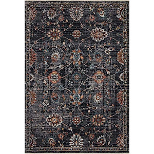 Loloi II Samra Collection SAM-08 Charcoal/Multi, Transitional 7'-10" x 10' Area Rug