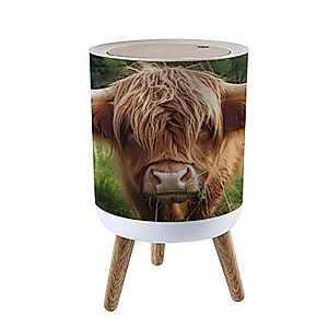 LGCZNWDFHTZ Small Trash Can with Lid for Bathroom Kitchen Office Funny Hairy Cow Highland Cattle Close up Garbage Bin Waste Basket Decorative 1.8 gallons, 14x9inch