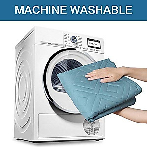 H.VERSAILTEX Reversible Chair Cover Furniture Protector Anti-Slip Couch Cover Water Resistant 2" Elastic Straps Chair Slipcover Pets Fit Sitting Width Up to 21" (Chair:75" x 65", Cameo Blue/Beige)