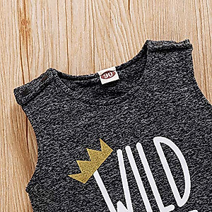 Viworld Wild One Romper Baby Boy 1st Birthday Button Solid Bodysuit One Piece Jumpsuit Outfits Clothes (Autumn & Winter Style, 12-18 Months)