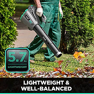 Litheli Cordless Leaf Blower 40V, Battery Leaf Blowers for Lawn Care, with Brushless Motor, Axial Blower for Blowing Leaf, Dust, Snow, Debris, with 2.5Ah Battery & Charger Included, Black