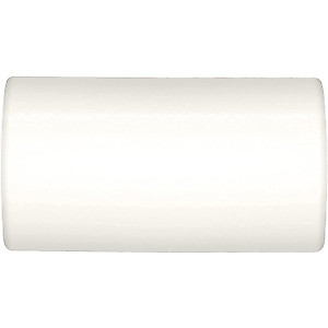 CASTNOO Interpump Piston Ceramic 15mm 51040009 For TP Pumps Interpump TT WW Series(15x25x9 mm)