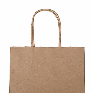 bagmad 100 Pack 8x4.75x10 inch Plain Medium Paper Bags with Handles Bulk, Brown Kraft Bags, Craft Gift Bags, Grocery Shopping Retail Bags, Birthday Party Favors Wedding Bags Sacks