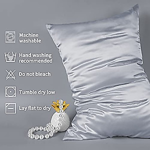 LULUSILK Silvergrey Silk Pillowcase for Hair and Skin, Mulberry Silk Pillow Case with Zipper Closure, Standard Size, Pack of 1