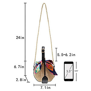 Danse Jupe Women Handwoven Round Rattan Bag Hobo Straw Beach Crossbody Shoulder Tote Handbag Black