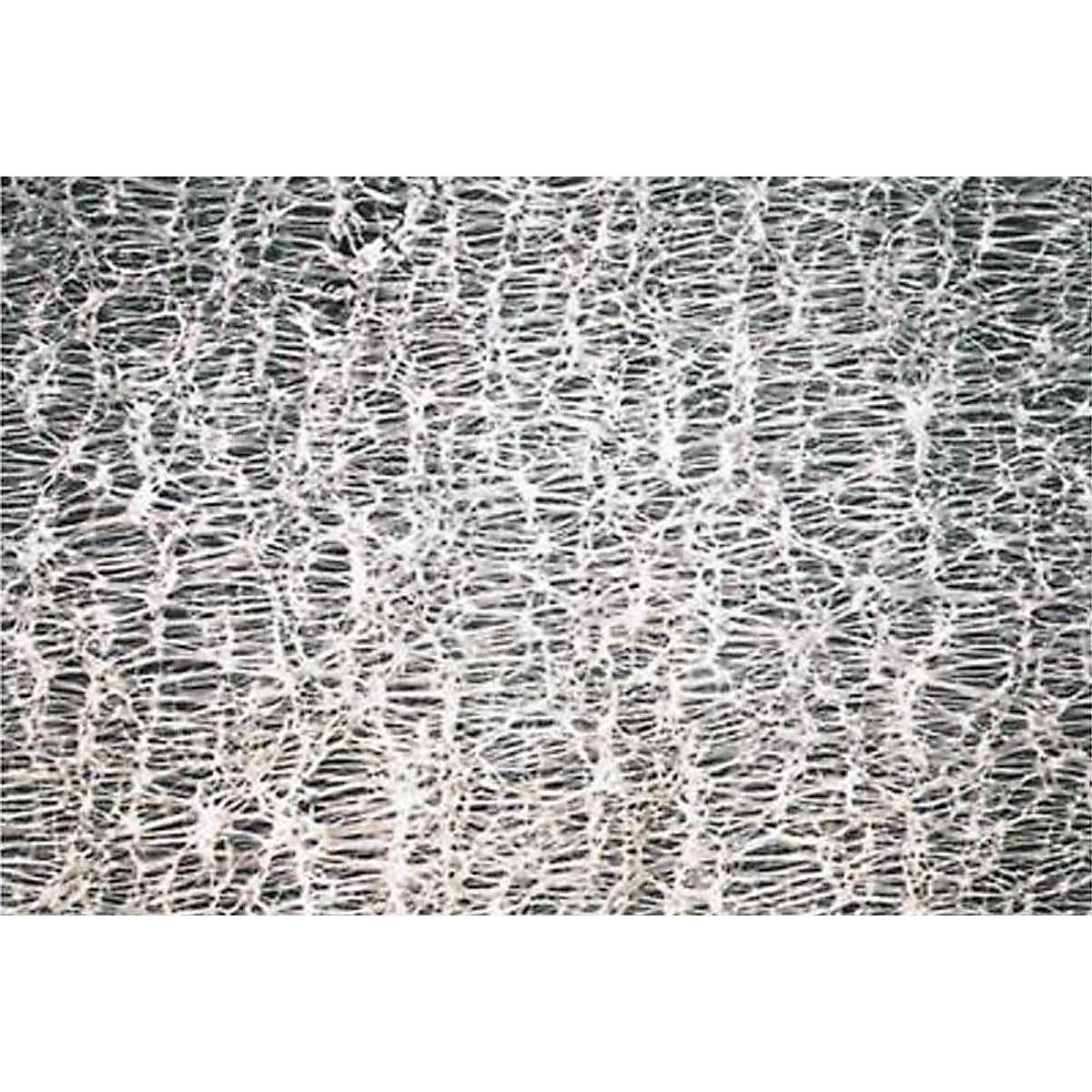 Advantec MFS J100A047A Hydrophobic Membrane Filter, Supported, 47 mm Diameter (Pack of 100)