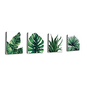 Botanical Prints Wall Art for Bathrooms Canvas Green Leaf Framed Green Plant Wall Art Pictures (12" x 16") Posters Fall Pictures Boho Sage Green Leaf for Bathrooms, 4 Pieces Tropical Plants Pictures Minimalist Greenery Watercolor Painting, Palm Banana Mon