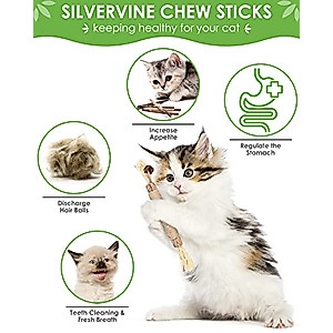 Silvervine Sticks for Cats, TINDTOP 10 Pack Natural Catnip Chew Toys for Kittens Teeth Cleaning, Matatabi Dental Care, Increase Appetite, Calm Cat Anxiety and Stress, Aggressive Chewers Cat Dental Toy