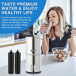 Water Filter Replacement Compatible with Berkey Water Filter System, BB9-2 Replacement Filter Compatible with Berkey Big, Light, Imperial, Travel, Crown, Royal Series (2 Pack)