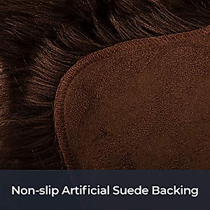 HYSEAS Faux Sheepskin Fur Area Rug Brown, 2x3 Feet, Fluffy Soft Fuzzy Plush Shaggy Carpet Throw Rug for Indoor Floor, Sofa, Chair, Bedroom, Living Room, Home Decoration