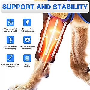 MASBRILL Dog Knee Brace, Adjustable Dog Brace Protector Pads for Back Leg,ACL Hind Leg Brace for Dog Cruciate Ligament Care Knee Brace for Dogs Rear Leg, Joint Pain and Muscle Sore