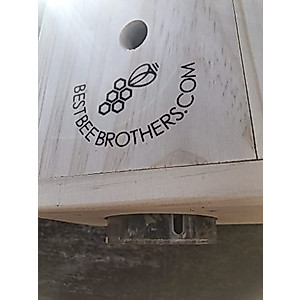 Bee-Licious Bee Bait All Natural Carpenter Bee Lure Attracts More Carpenter Bees to Your Carpenter Bee Traps