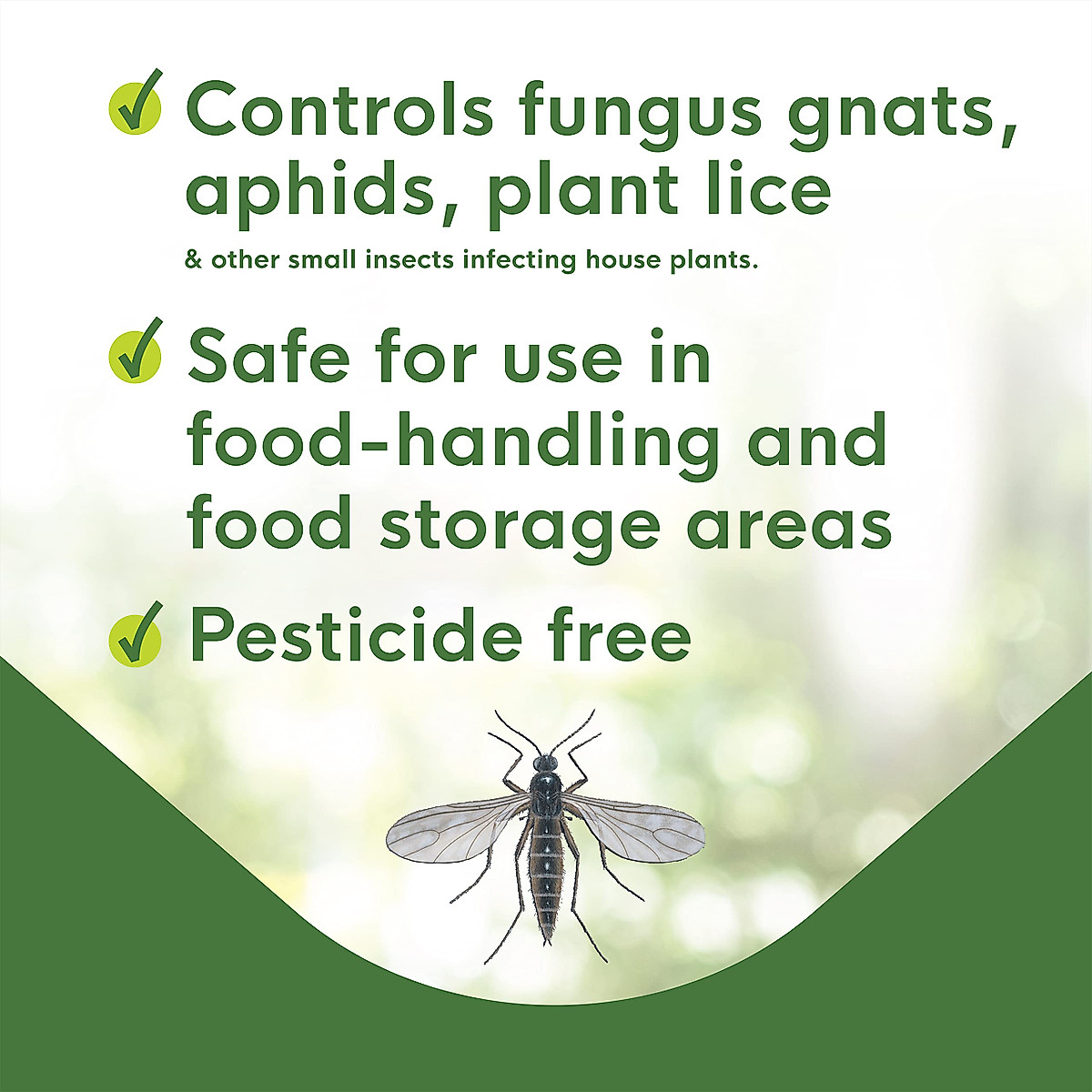 Enoz BioCare Gnat Stix for Fungus Gnats and Aphids, Pest Control for Plants and Greenhouses, Safe & Effective (12 Pack)