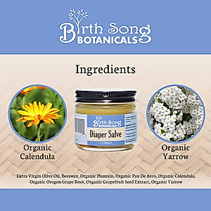Birth Song Botanicals Diaper Salve Ointment, 1.5 Ounces