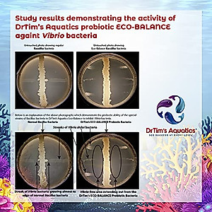 DrTim's Aquatics Reef Eco-Balance 4 oz