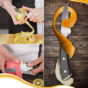 Paring knives, 2.5 cm beak beak fruit knife, vegetable knife made of German stainless steel, extremely hard sharp blade, hand-polished, ergonomic ABS handle