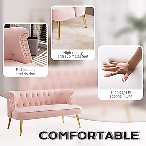 DAMAIFROM Velvet Loveseat Sofa, Modern 2 Seater Sofa with Gold Legs, 51" W Upholstered Tufted Couch for Living Room, Comfy Love Seat Small Furniture for Apartment, Small Spaces, Pink