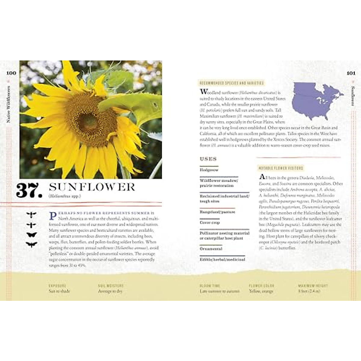 100 Plants to Feed the Bees: Provide a Healthy Habitat to Help Pollinators Thrive